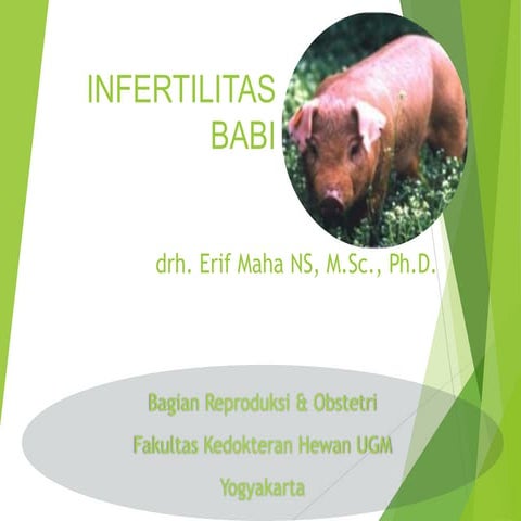 PEMBELAJARAN TENTANG INFERTILITAS BABI . | PDF