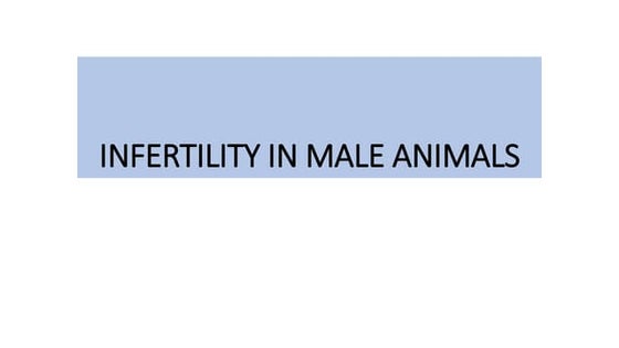 Lecture 6 Male infertility.pptx | Infertility | Reproductive Health