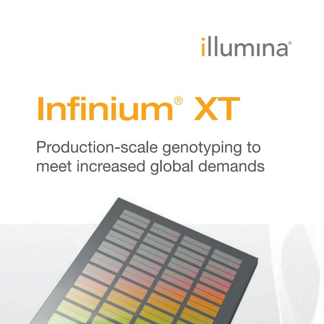 Illumina Infinium XT brochure | PDF