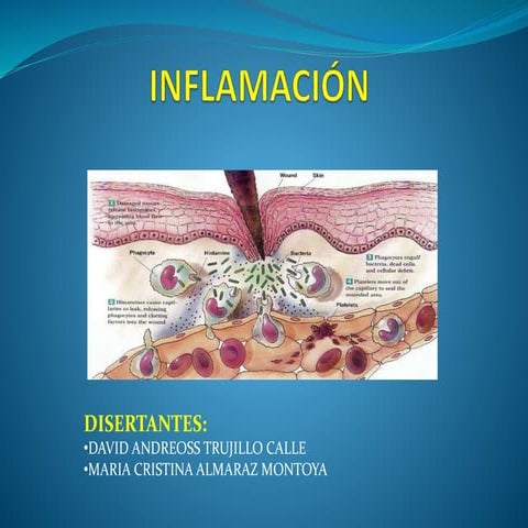 Inflamación | PPTX