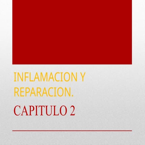 INFLAMACION Y REPARACION AREA MEDICINA SEMESTRE 2 | PPTX