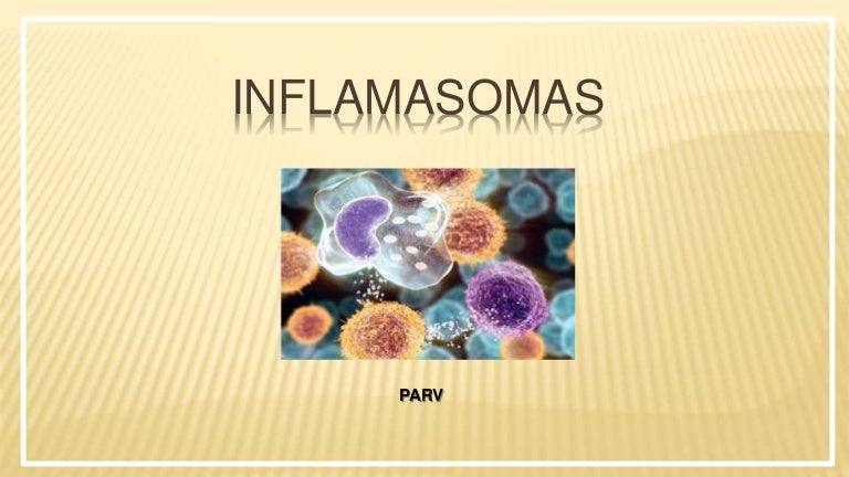 Inflamasomas