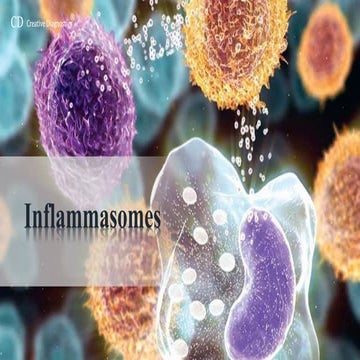 Inflammasomes-Creative Diagnostics | PPTX