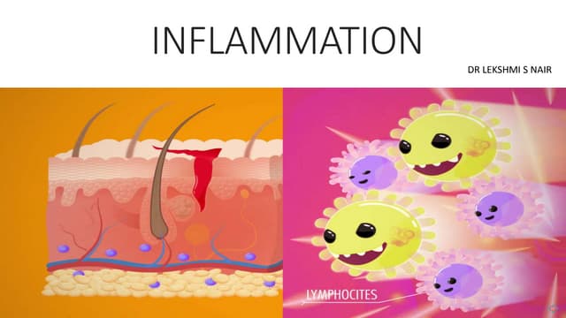 11 cellular & vascular events in acute inflammation | DOC