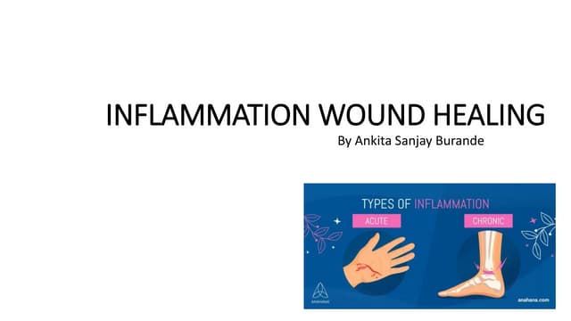 Inflammation and repair | PPTX | Blood Disorders | Diseases and Conditions