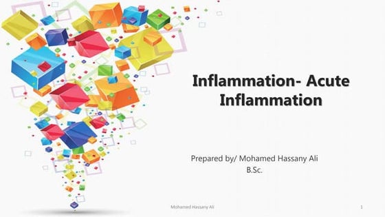 Inflammation | PDF