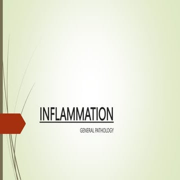 Inflammation lecture 4 | PPTX