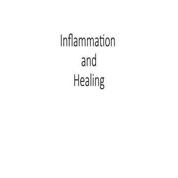 Inflammation and Healing Pathophysiology | PPTX