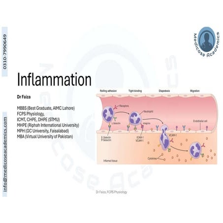 Motility of large intestine_Mass movement and defecation | PDF