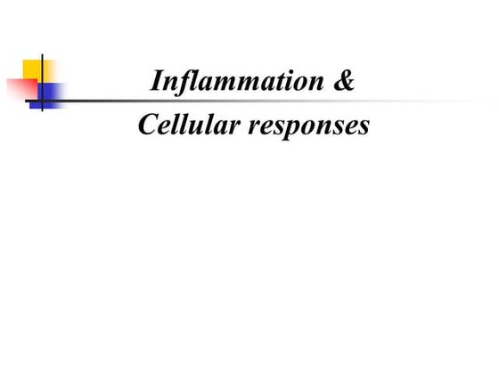 acuteinflammationacuteinflammation.pptxacuteinflammation.pptx