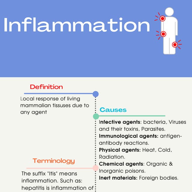 Inflammation Info-graphic | PDF