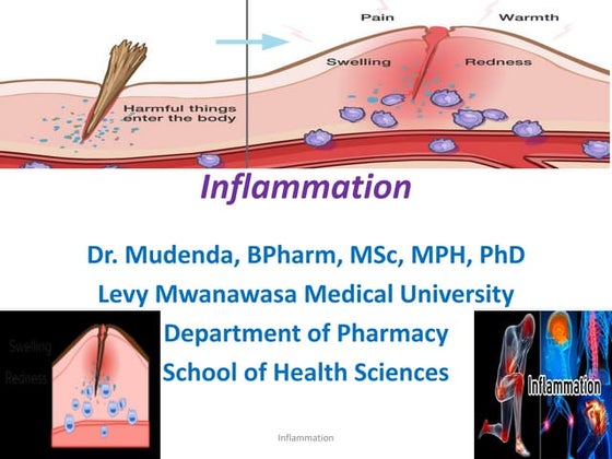 INFLAMMATION & REPAIR power point presentation | PPTX | Medical Health
