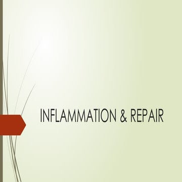 INFLAMMATION & REPAIR power point presentation | PPTX | Medical Health