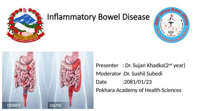Inflammatory Bowel Disease | PDF
