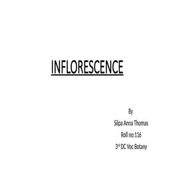 Inflorescence Types,cymose and racemose types,examples with Diagrams | PPTX