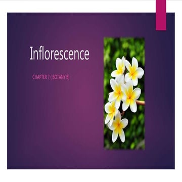 Inflorescences & Its Types | PPT