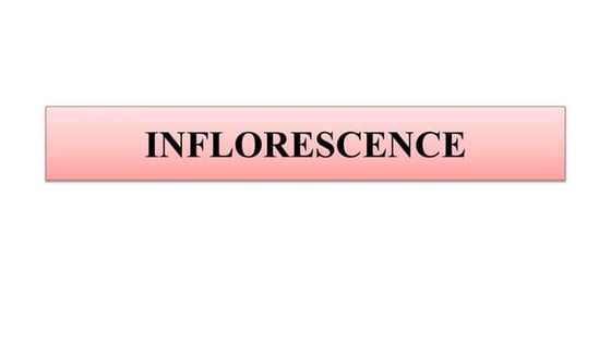 Inflorescence Types,cymose and racemose types,examples with Diagrams ...