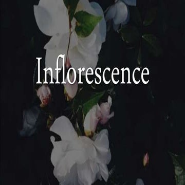 Inflorescence Types,cymose and racemose types,examples with Diagrams | PPTX