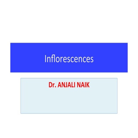 Inflorescences | PDF