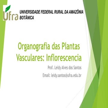 Morfologia Vegetal - Estudo das inflorescencia.pdf