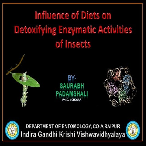 Influence of diets on detoxifying enzymatic activities of insects | PPT