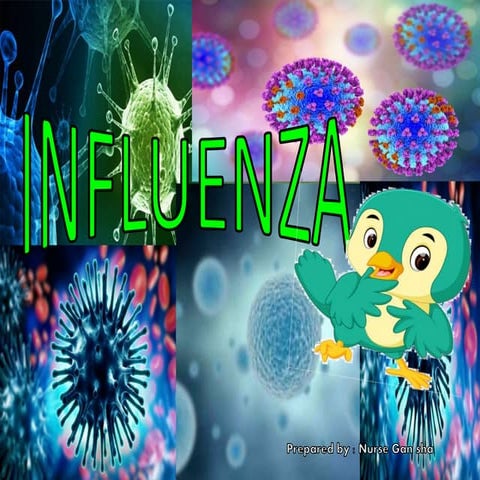 Influenza | PPSX