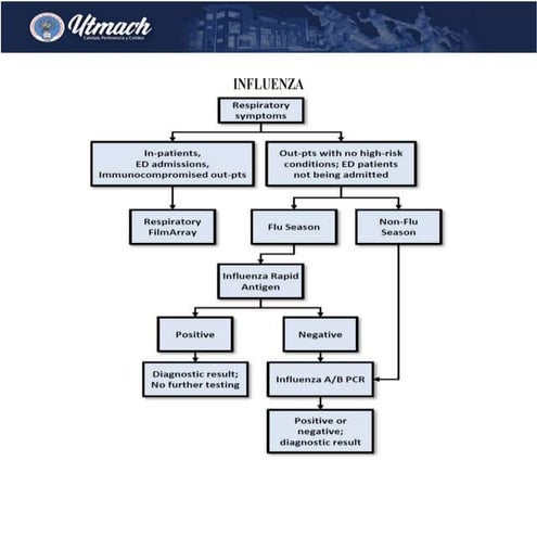 Influenza algorithm | DOCX
