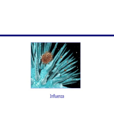 Influenza_2020.ppt