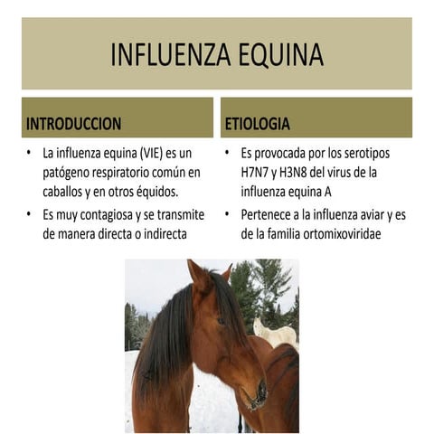 INFLUENZA EQUINA facultad de medicina veterinaria y zootecnia | PDF