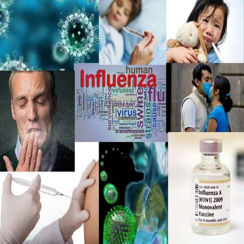 Influenza - History, Vaccination, and Public Health | PPTX