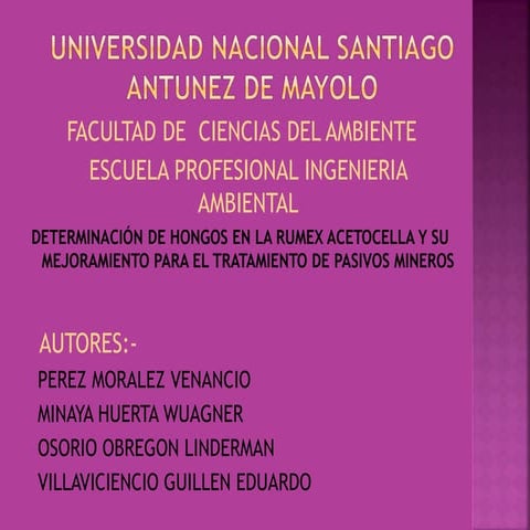 rumix acetocella | PPTX