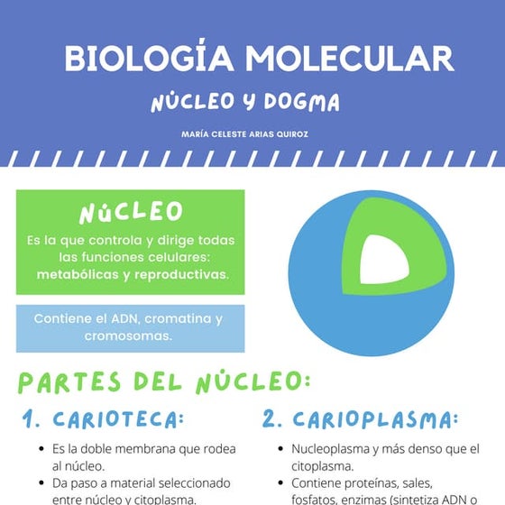 Nucleoplasma Que Es
