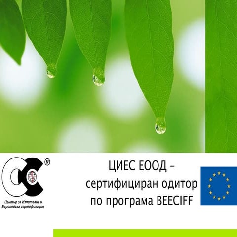ЦИЕС Енергийна ефективност и зелена икономика Ppt