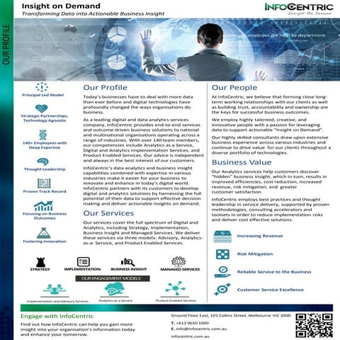 InfoCentric Company Profile | PDF