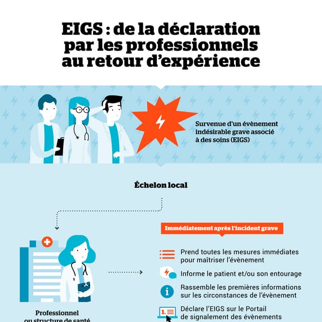EIGS : de la déclaration par les professionnels au retour d'expérience ...