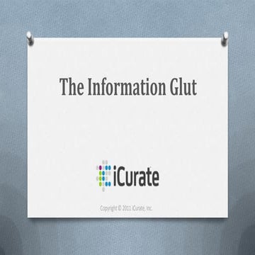 The Information Glut | PPTX