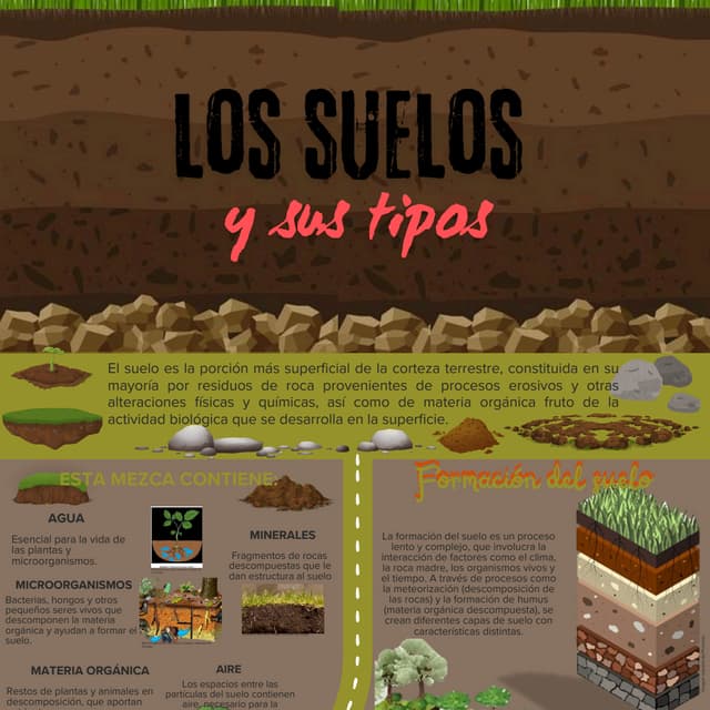 Tipos De Suelo Y Sus Capas EL SUELO, CAPAS Y TIPOS YouTube