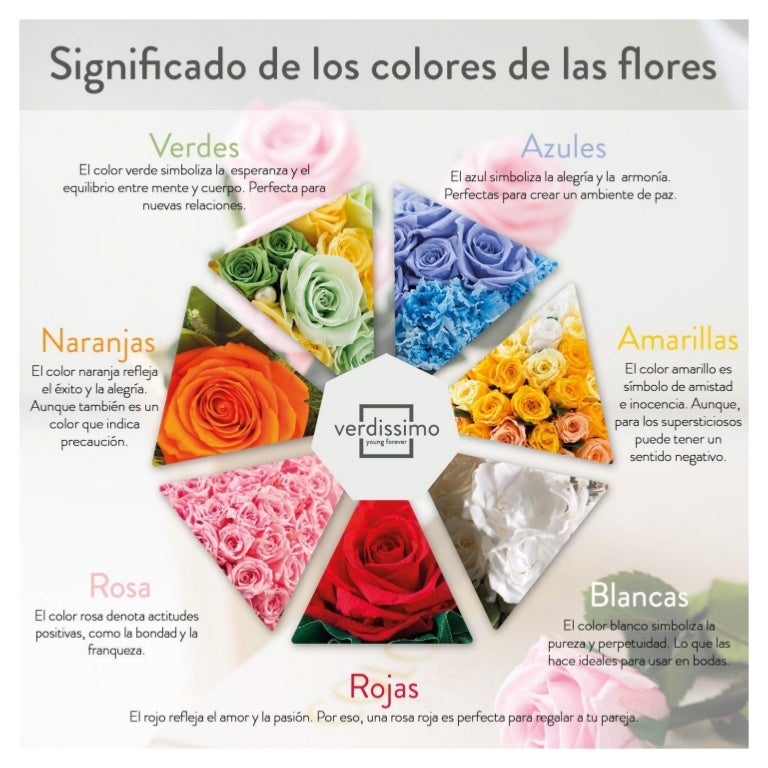 El significado de los colores de las flores