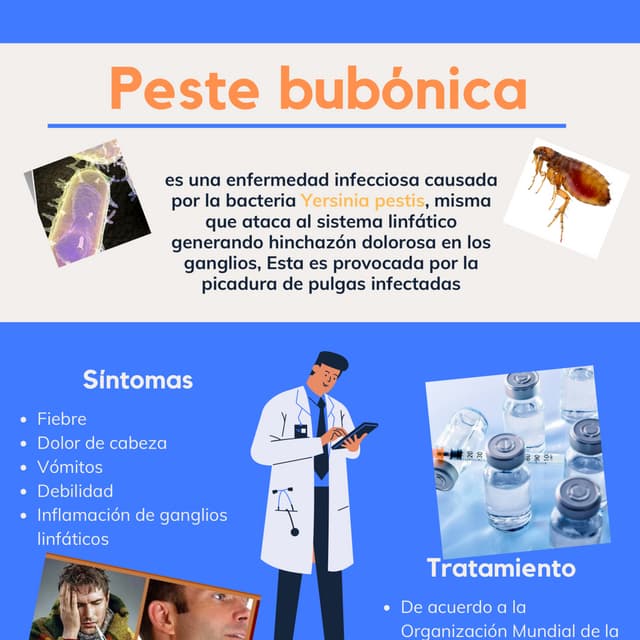 INFOGRAFÍA SOBRE LA PESTE BUBÓNICA.pdf
