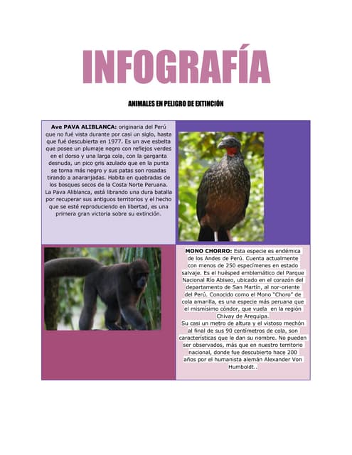 Infografia | DOCX