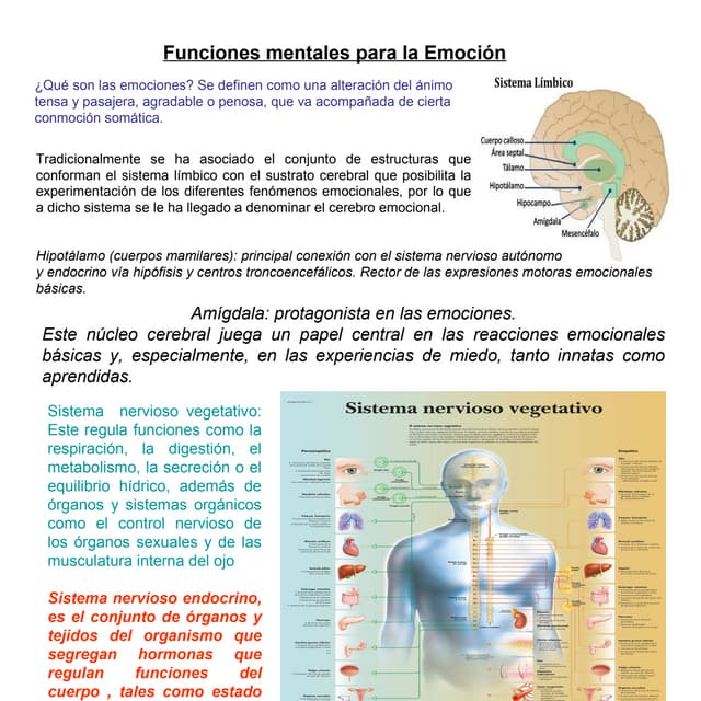 Infografia Pdf