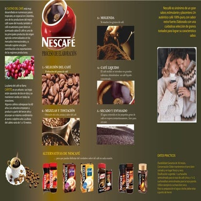 Infografia Consuelo Pivcevic | PDF