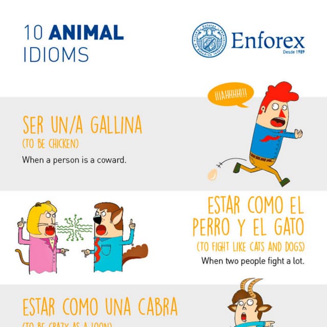 10 Animal Idioms | PDF