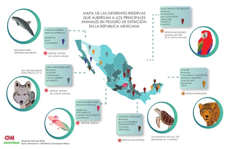 Infografia de México y su fauna