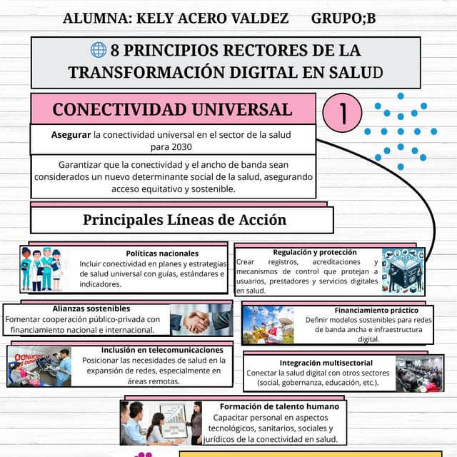 Infografia 8 PRINCIPIOS RECTORES.pdf....... | PDF