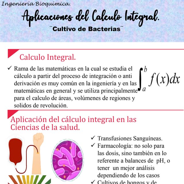 Infografía ´´Calculo integral´´ | PDF