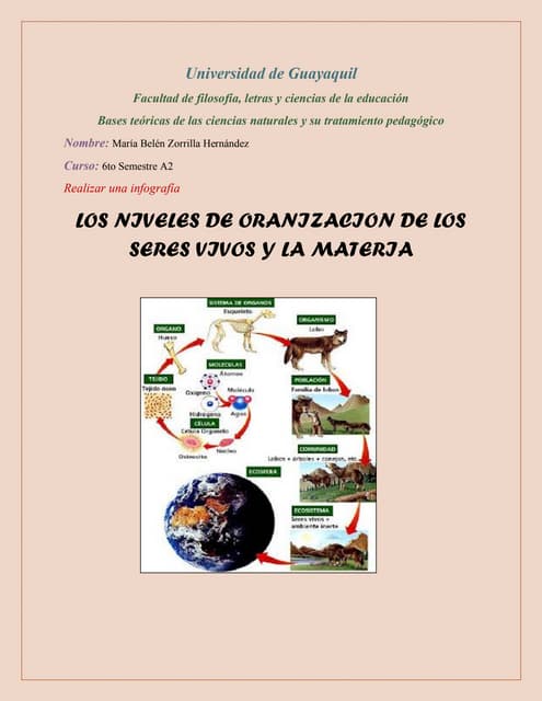 Niveles De Organizacin De Los Seres Vivos Resumen Estructura Y