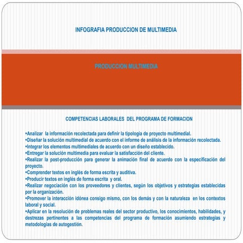 Infografia produccion de multimedia | PPTX