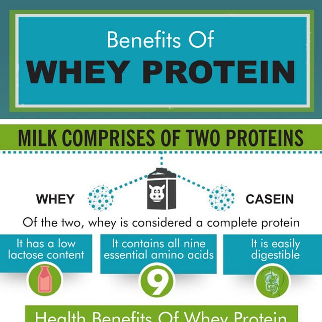 Infografic of whey protein | PDF