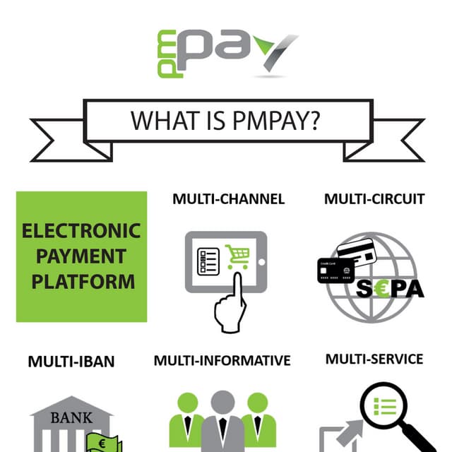 PMPay Infographic | PDF